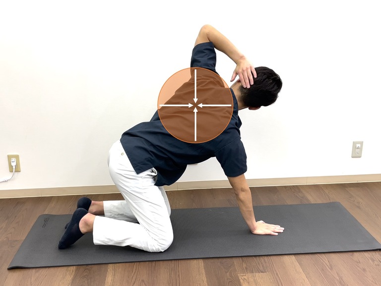 胸郭回旋動作の機能を改善・向上するための2つのポイント | BPM Function