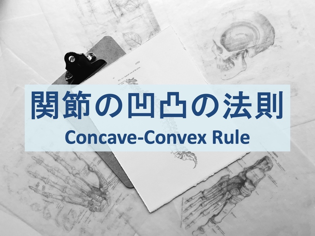 関節の凹凸の法則（Concave-Convex Rule） | BPM Function